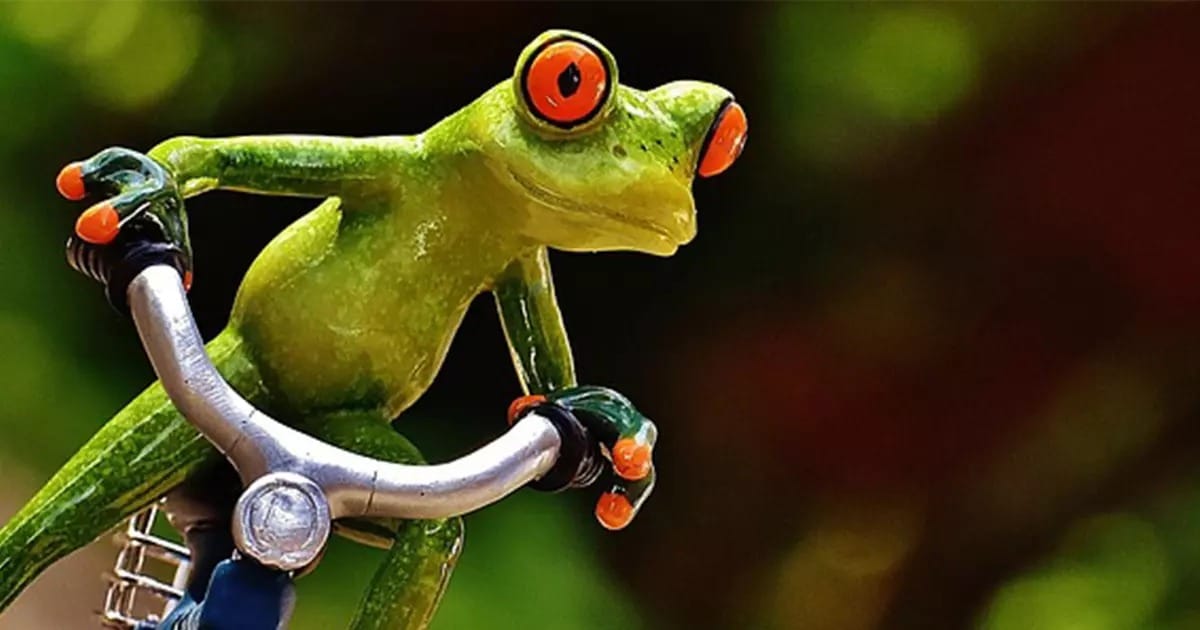 Aprende a usar la API de Inspección de URL de Google con Screaming Frog ...